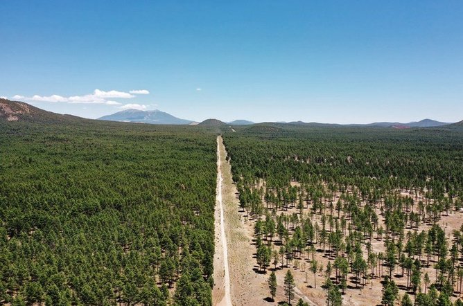 What's Apple’s Promise on Clean Energy and Water Investment? | Energy ...