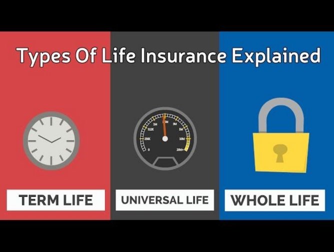 Types Of Life Insurance Explained | InsurTech Digital