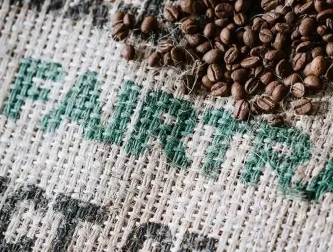 Traidcraft supports the Mzuzu Women in Coffee Programme | Business ...