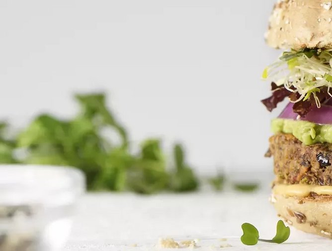 Motif FoodWorks Secures Food Technology Investment | Food and Drink Digital