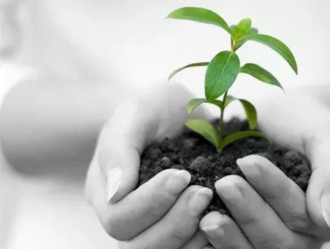 Reasons why sustainability is a good business decision | Business Chief