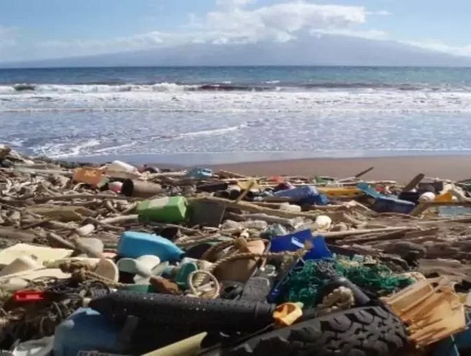 Japan's Tsunami Waste to Hit U.S.? | Energy Digital