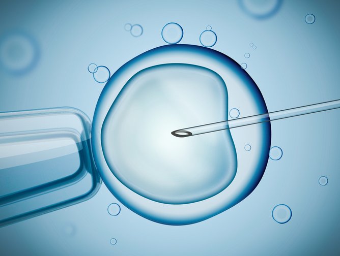 Fertility industry’s high expectations for IVF and AI | AI Magazine