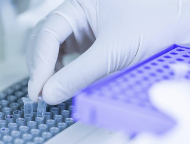 Automating gene therapy & pharma discovery at Automata | Healthcare Digital
