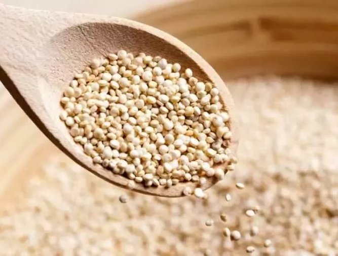 ADM Acquires Specialty Commodities Inc for $191 Million | Food and ...