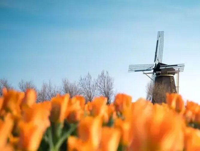 Google opens second data centre in the Netherlands | Data Centre Magazine