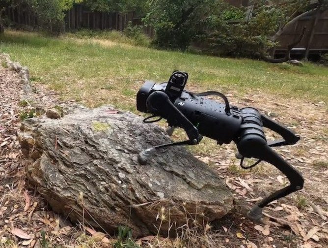 Budget robots inspired by animals a step forward for humans ...