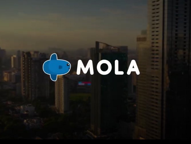The Mola experience: Technology as an art form | Telco Magazine