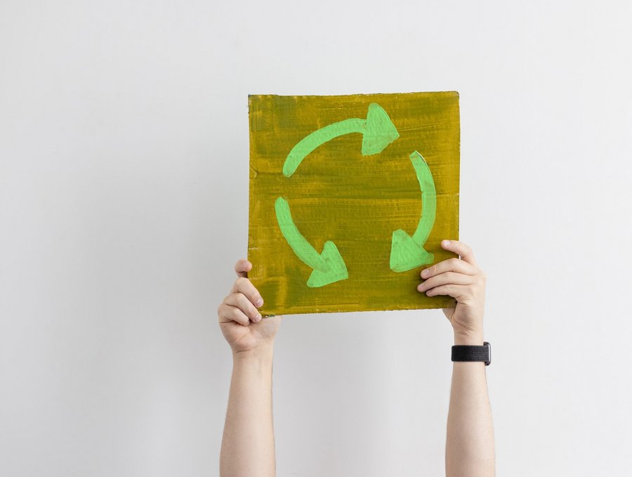 What makes a circular economy circular, rather than green ...