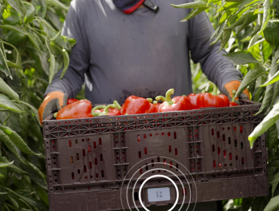 Wiliot IoT devices enable retail supply chain sustainability ...