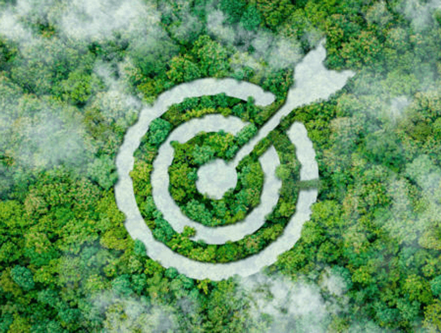 Ecovadis Purpose Driven Sustainability Software Solutions