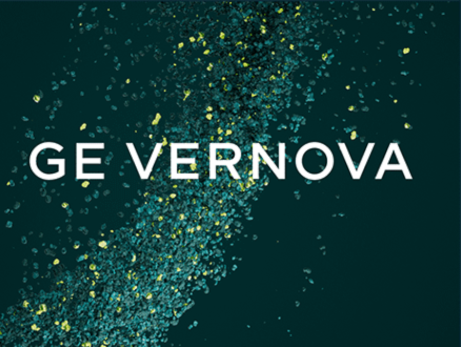 What's Inside GE Vernova's First Sustainability Report? | Energy Digital