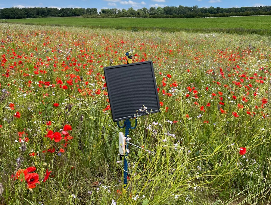 Cranswick and AgriSound Partner for Carbon Insetting | Food and Drink ...